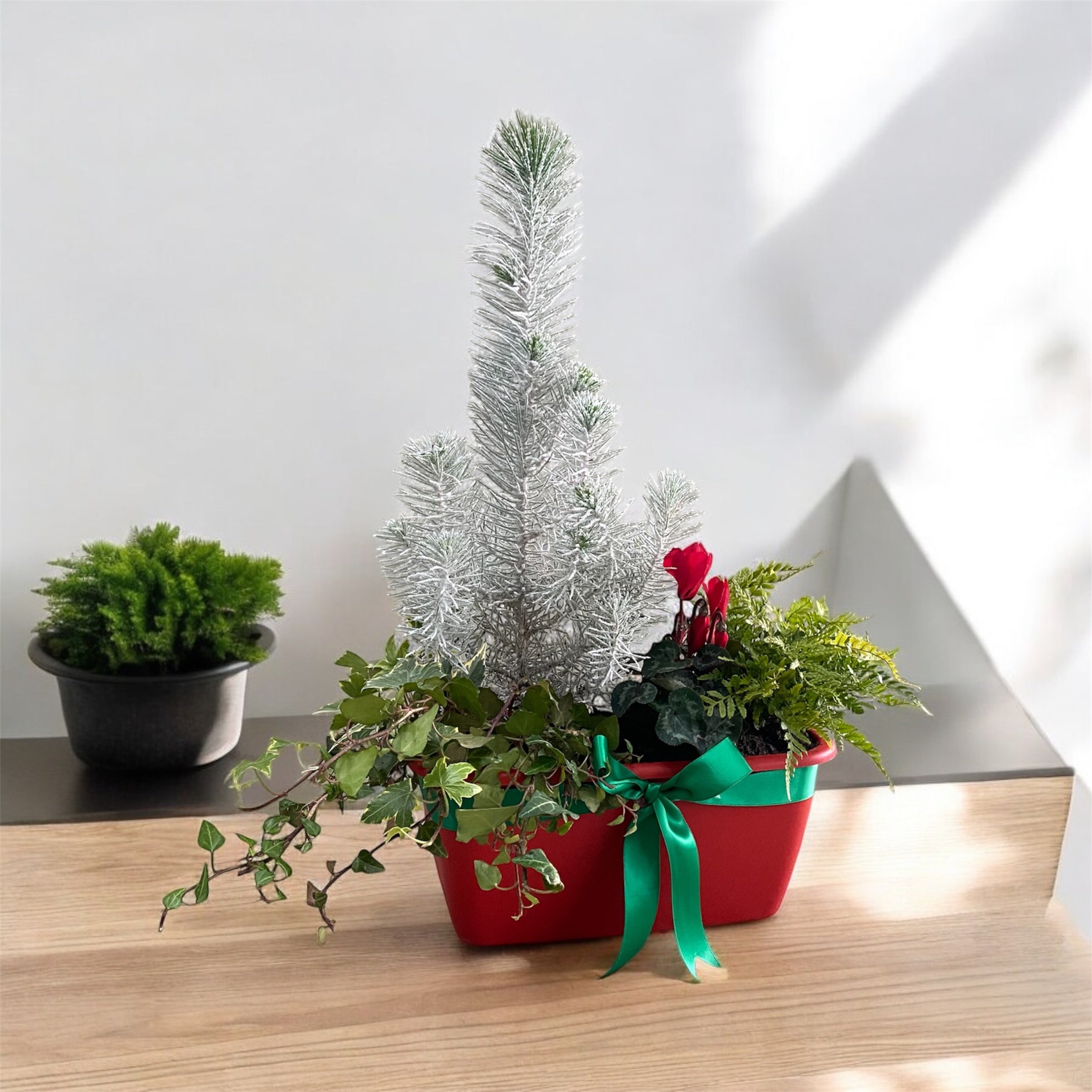 Deck the Halls (and Gardens!) with Rainwater Terrace’s Festive Planter
