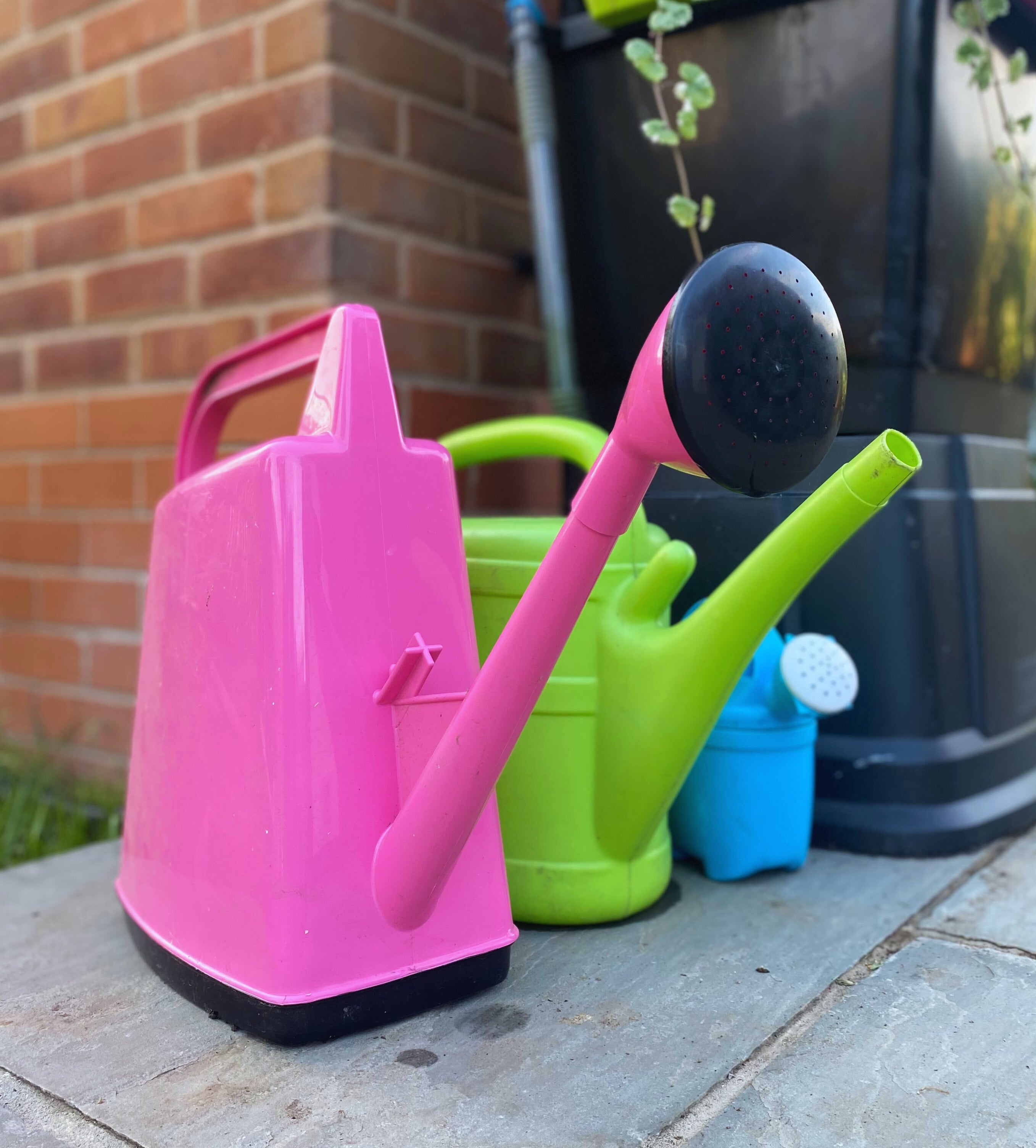 Hosepipe Ban 2025: Save Water with 20% Off UK Water Butts – Rainwater ...